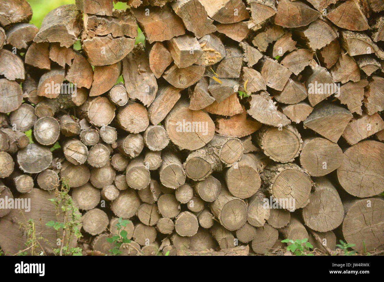 Campfire and chopped wood Stock Photo - Alamy