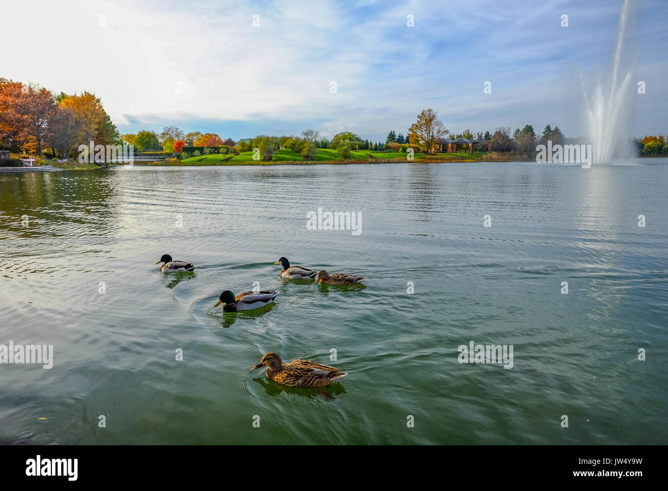 Triangle pond hi-res stock photography and images - Alamy