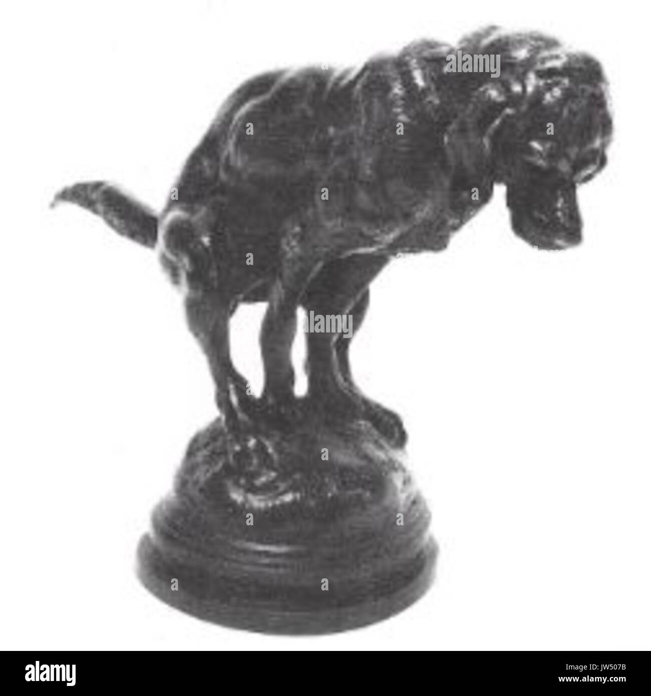 Dog nature Cut Out Stock Images & Pictures - Alamy