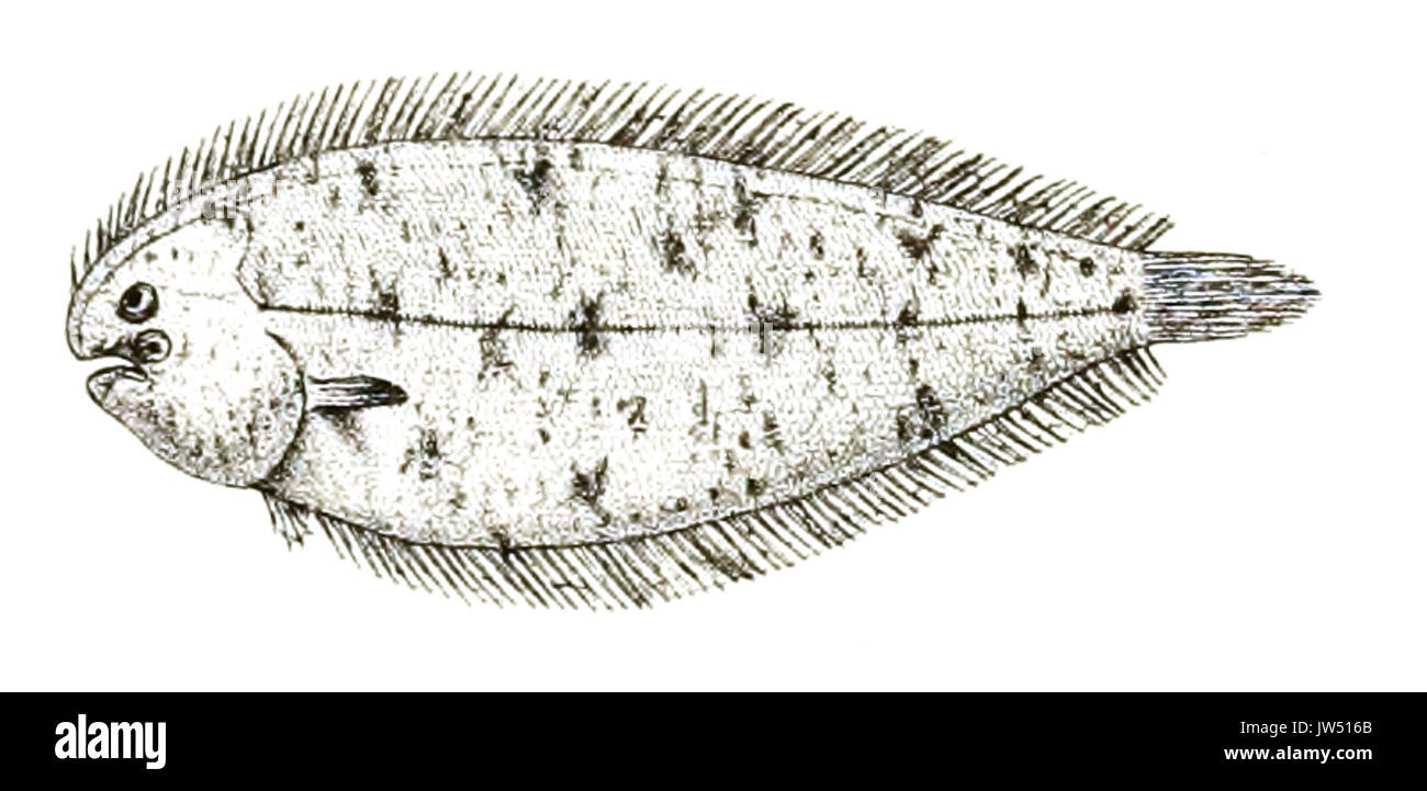 90 day Cut Out Stock Images & Pictures - Alamy