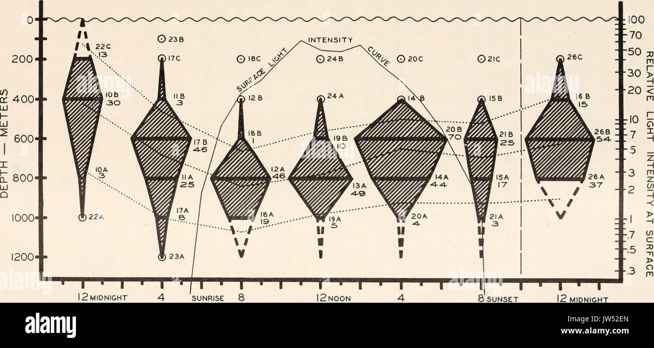 The Biological bulletin (19753501273 Stock Photo - Alamy