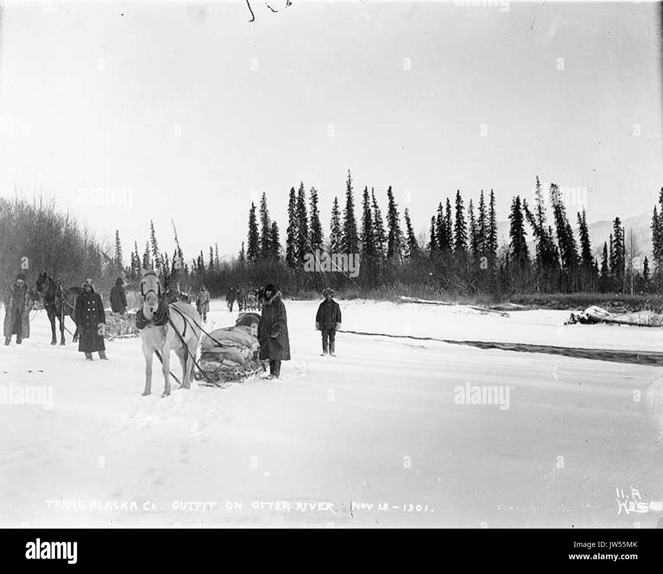 Horse drawn sleds hauling freight for the Trans Alaska Co on Otter ...