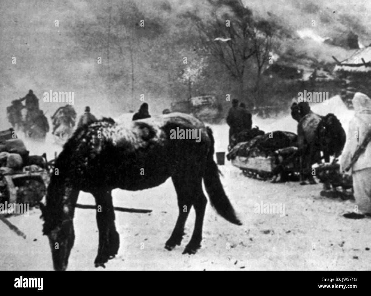 Armir hi-res stock photography and images - Alamy