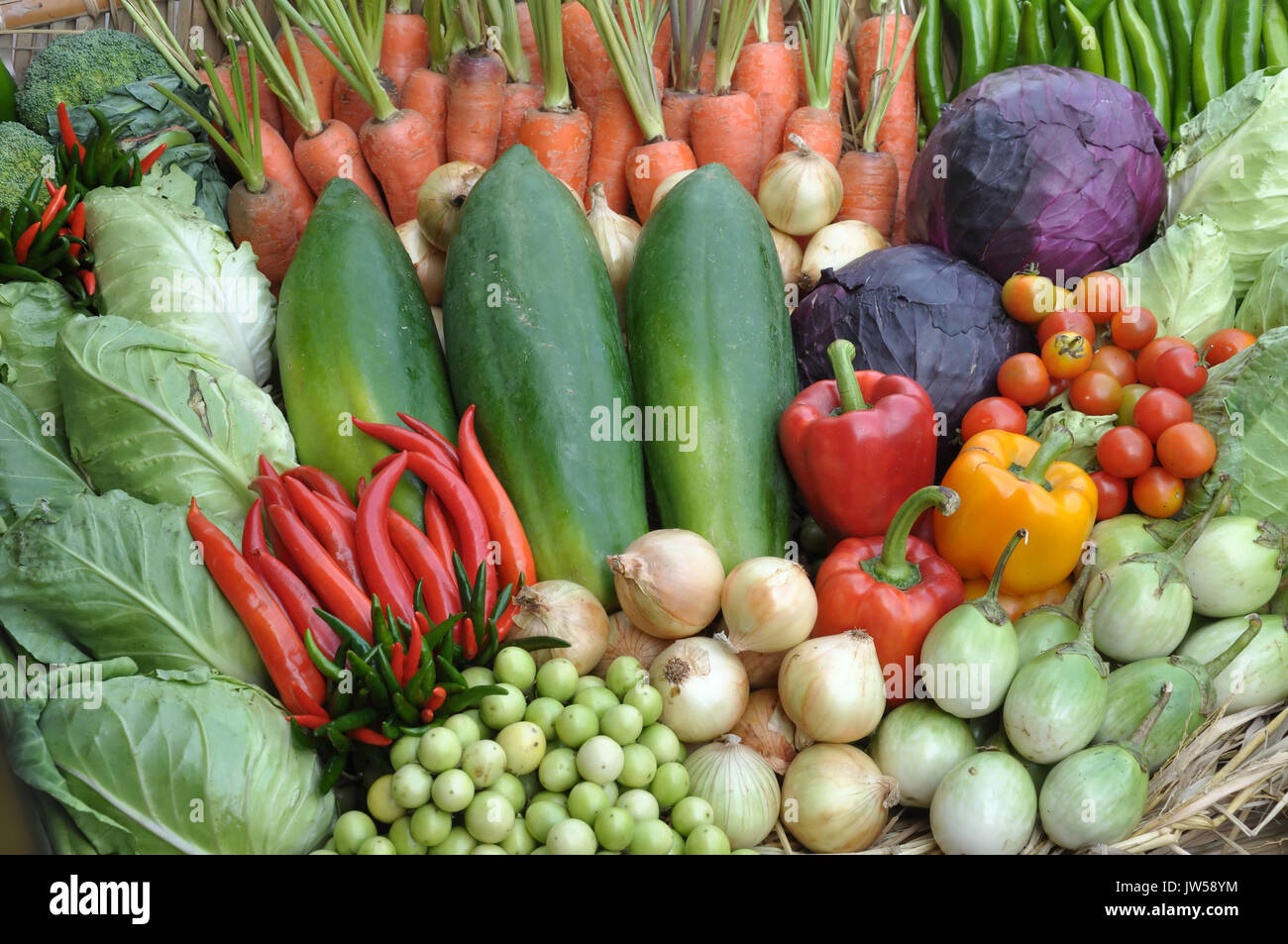 Various colorful vegetables are arranged together to show Stock Photo ...