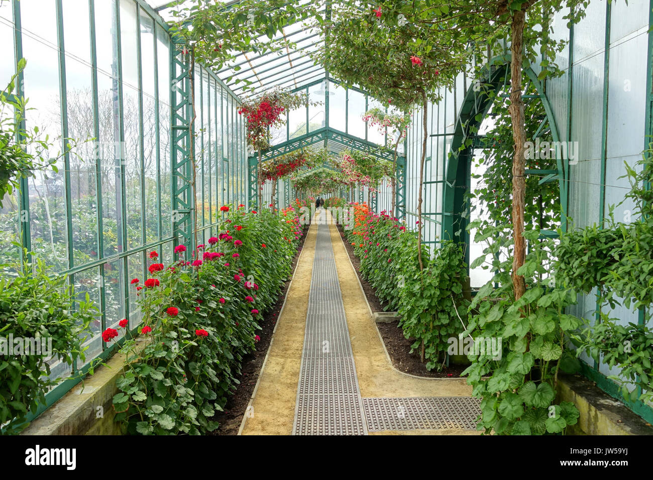 An interior view of the Laeken Royal Greenhouses located at the Royal ...