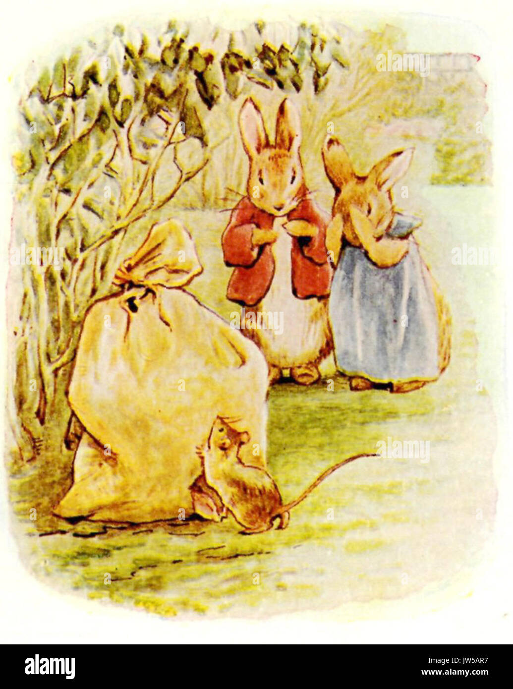 Flopsy Bunnies Benjamin and Flopsy Stock Photo - Alamy