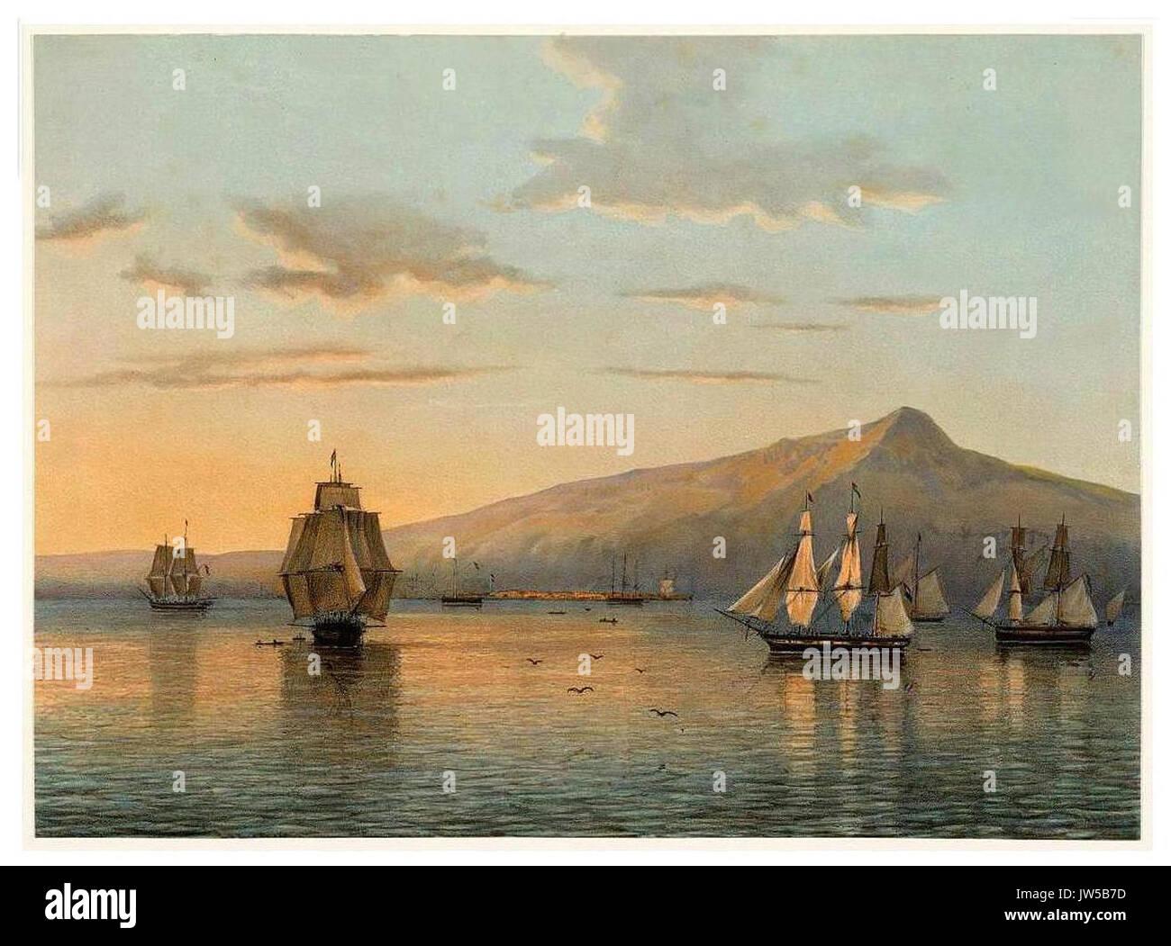 Anjer hi-res stock photography and images - Alamy