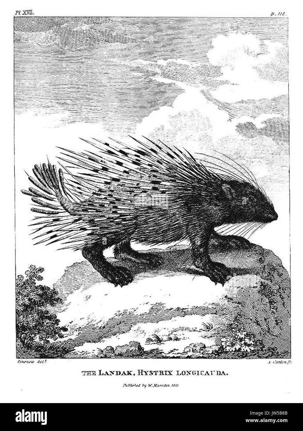 Map of landak hi-res stock photography and images - Alamy