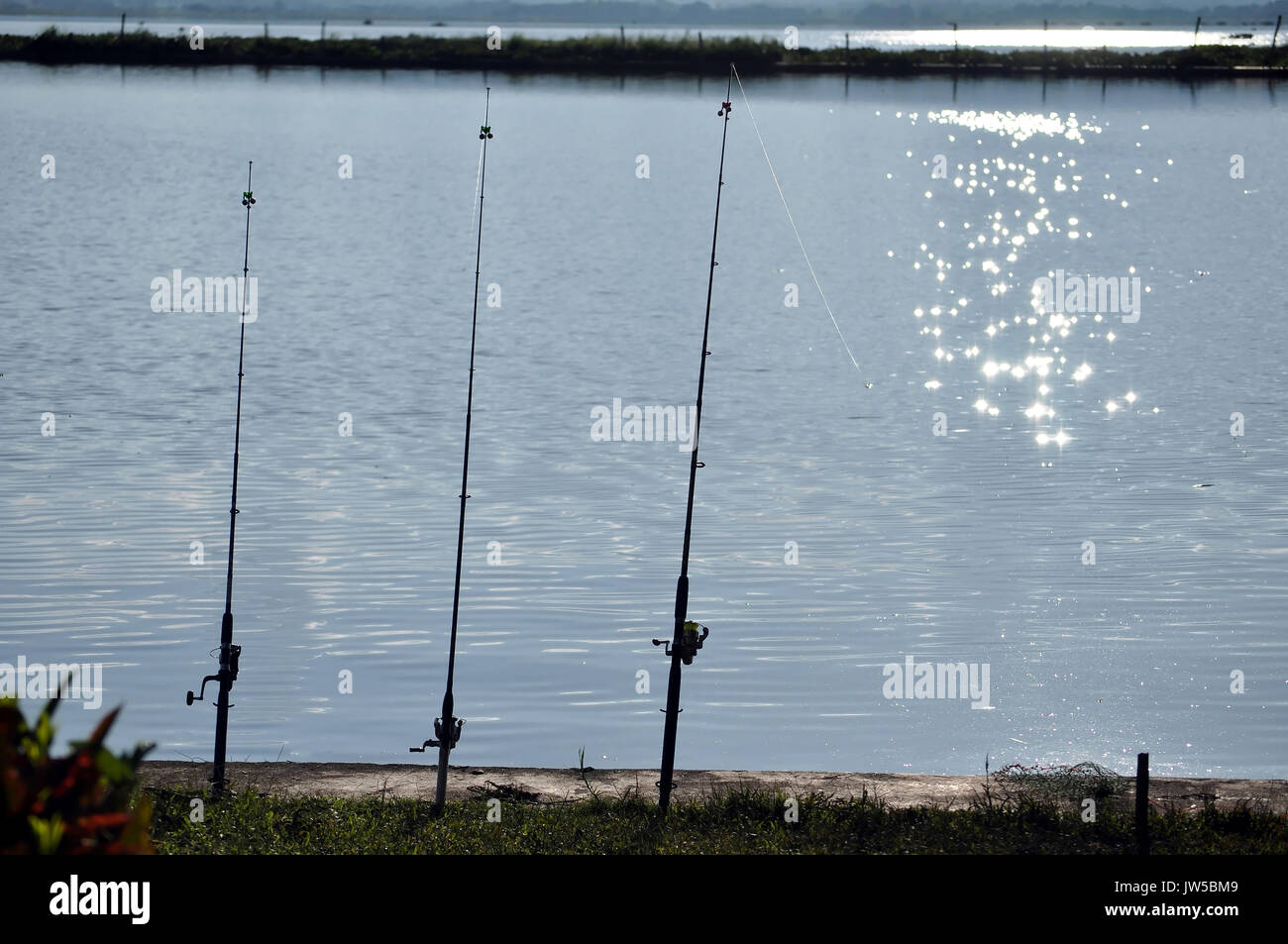 Vector water activity hi-res stock photography and images - Alamy