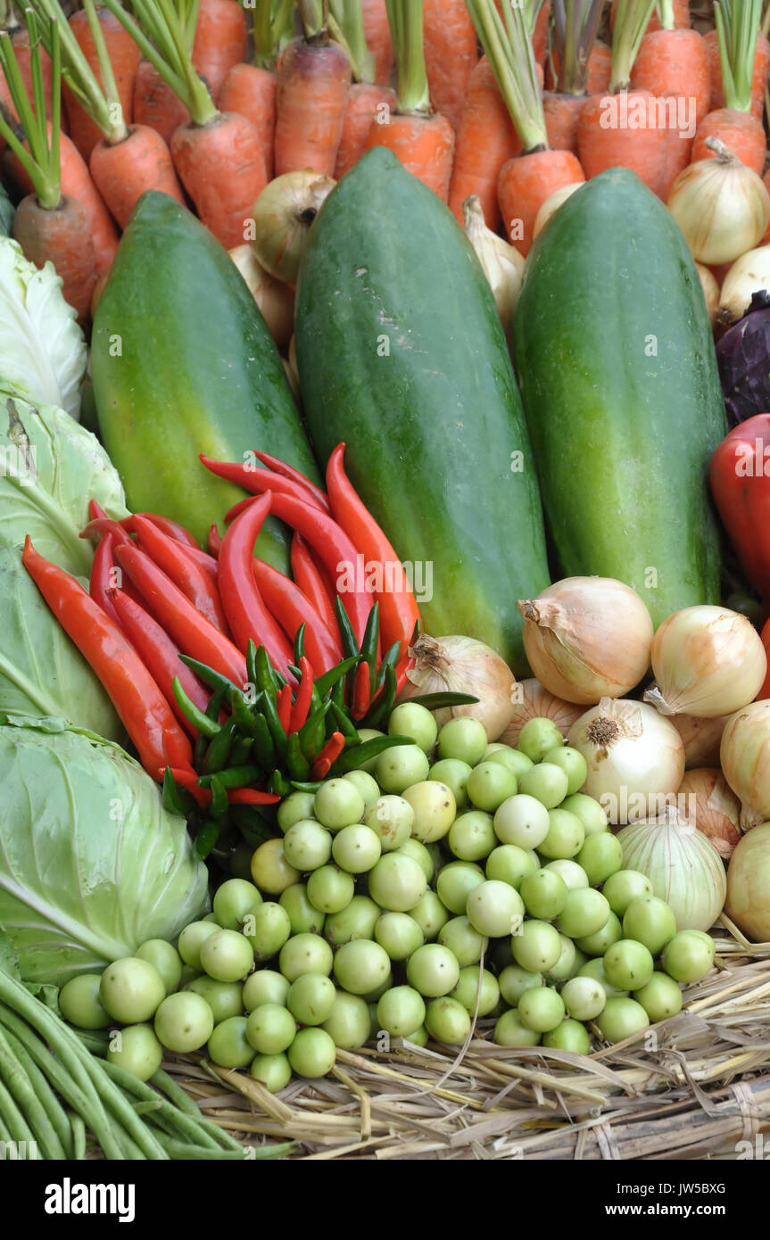 The noun vegetable usually means an edible plant or part of a plant ...