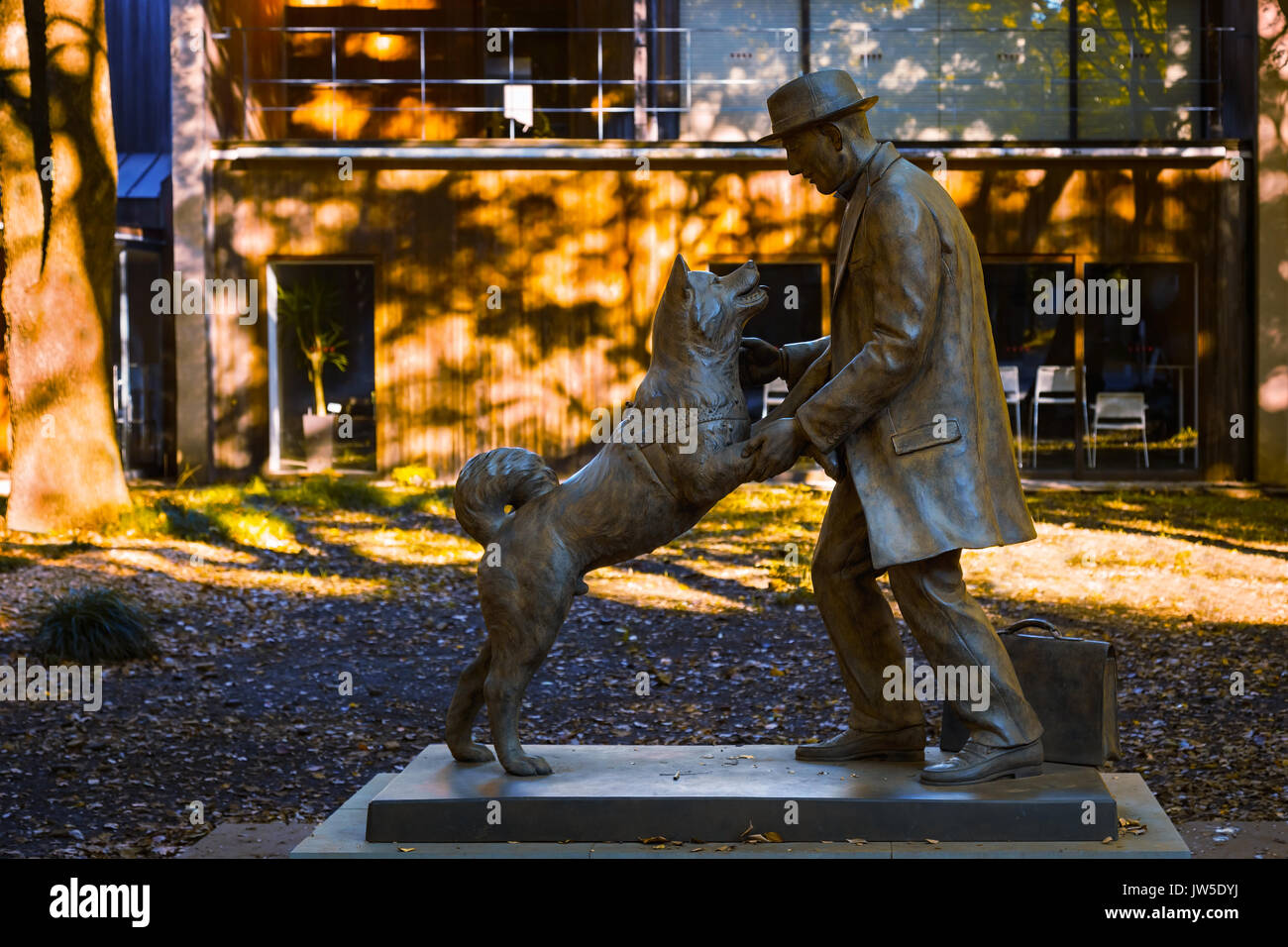 Hachiko statue university hi-res stock photography and images - Alamy