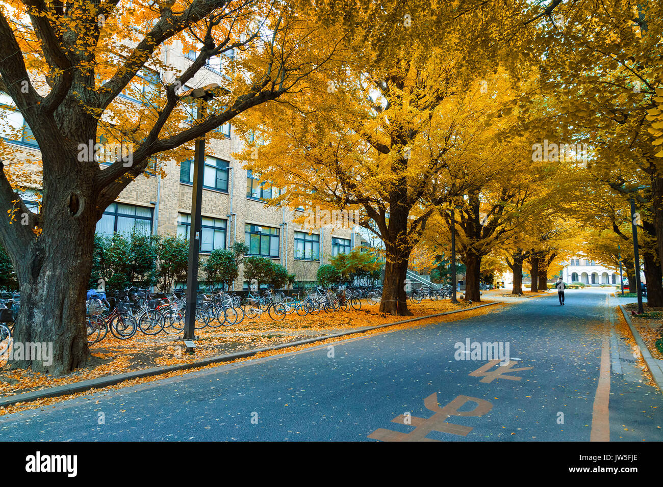 Imperial university of tokyo hi-res stock photography and images - Alamy