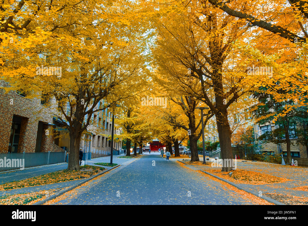 Tokyo university campus hi-res stock photography and images - Alamy