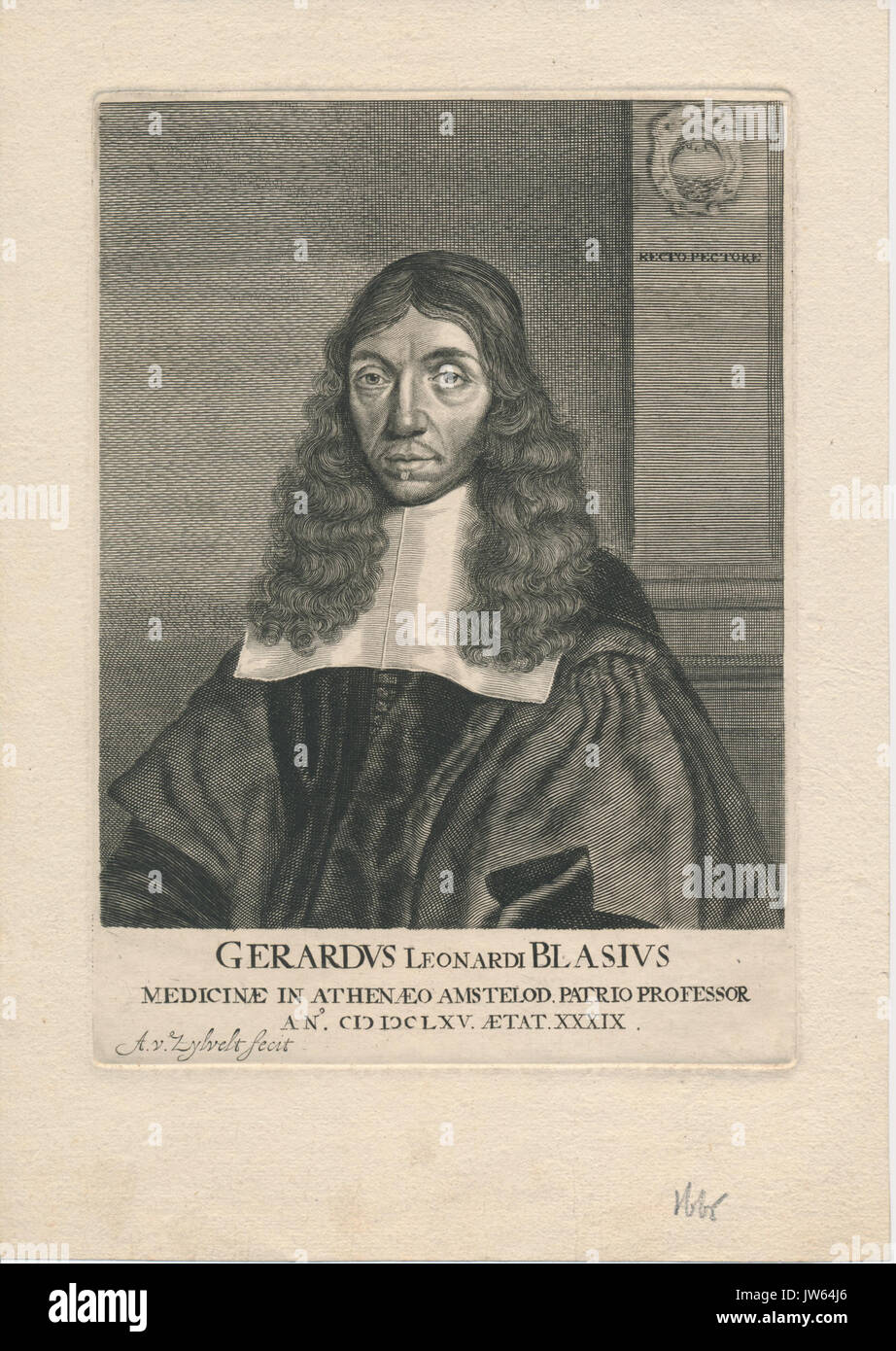 Gerardus blasius hi-res stock photography and images - Alamy