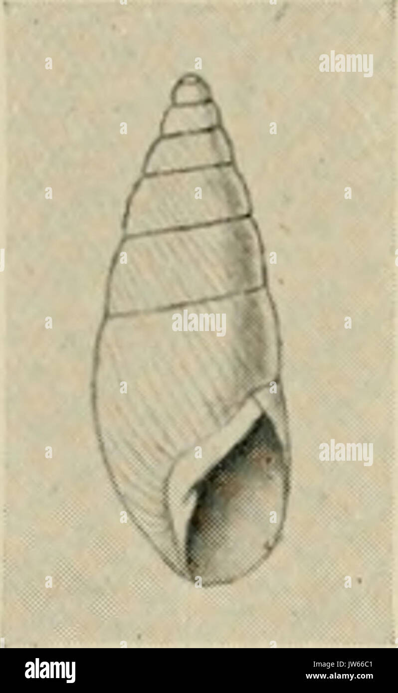 Innocens hi-res stock photography and images - Alamy