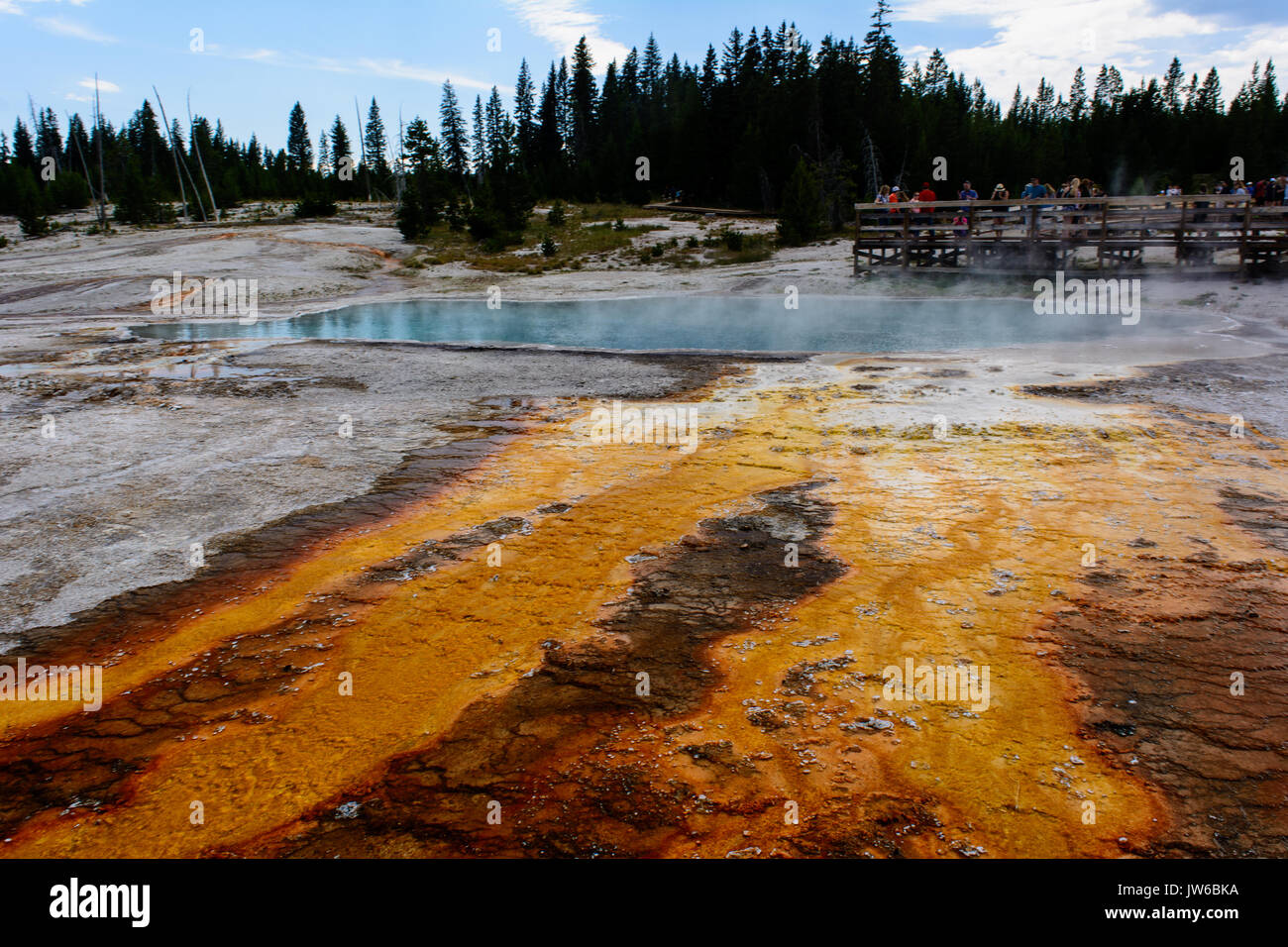 Pools and Geysers in the West Thumb Geyser Area, Yellowstone National ...