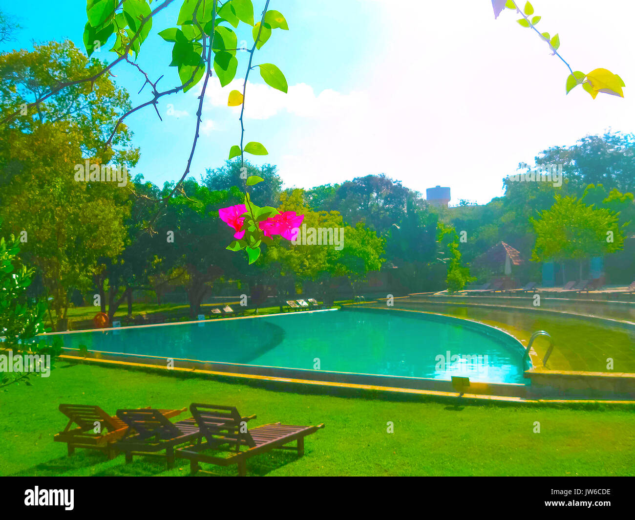 Dambulla, Sri Lanka - May 1, 2009: Swimming pool of hotel Chaya Village ...