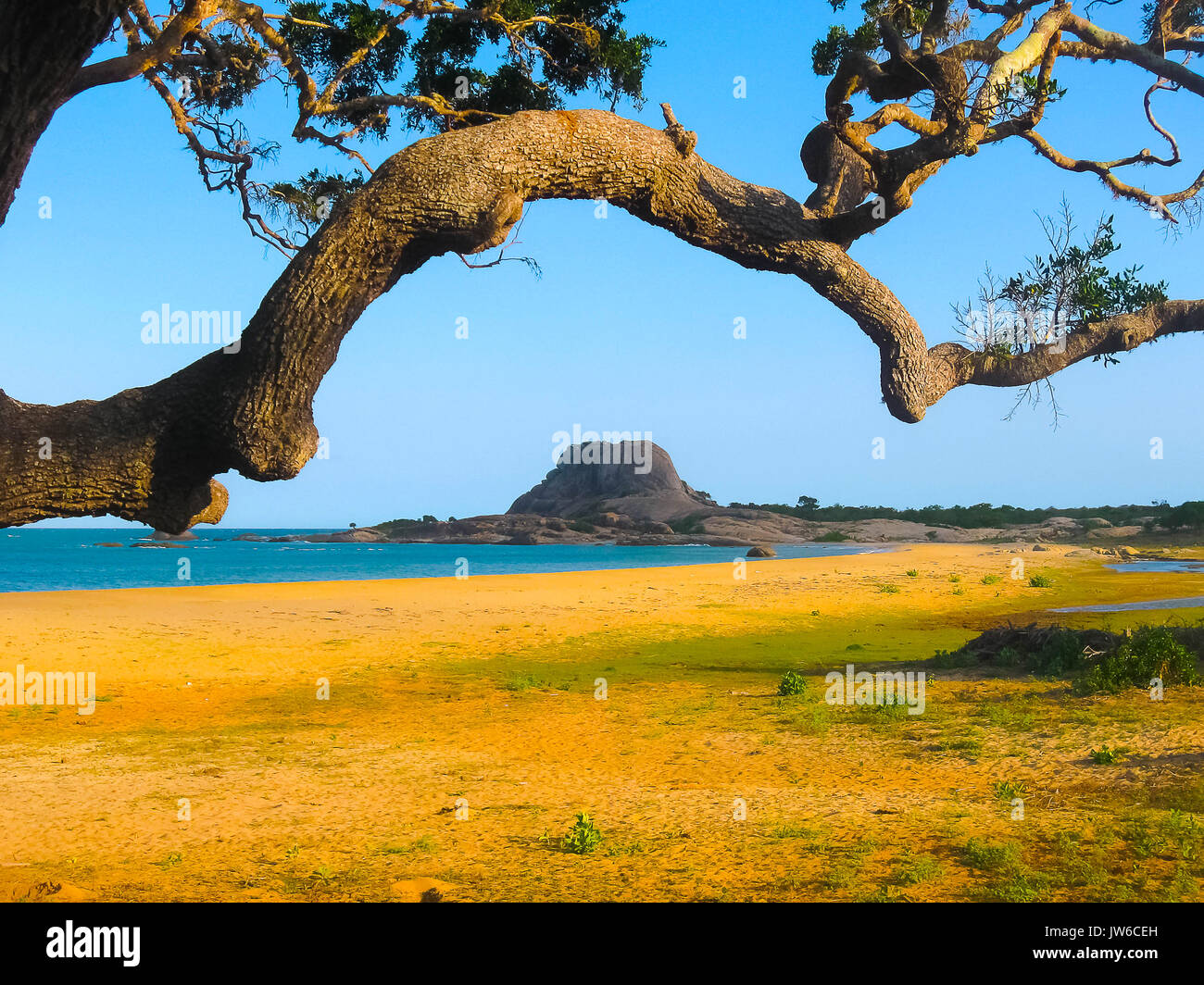 Yala national park beach hi-res stock photography and images - Alamy