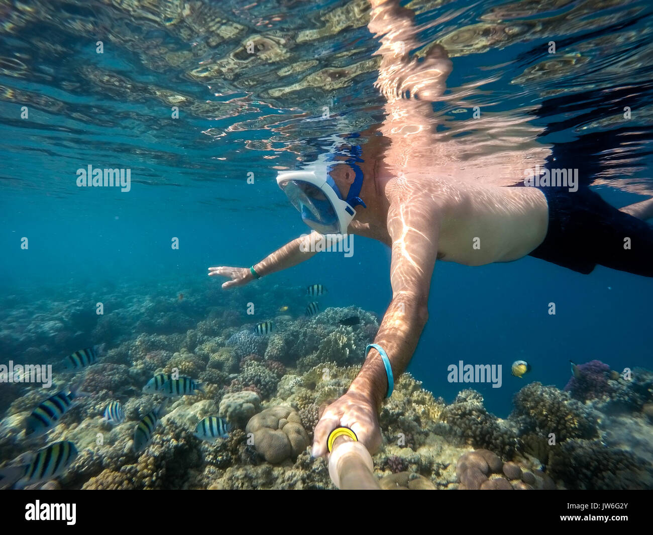 Snorkel swim in underwater exotic tropics paradise with fish and coral ...