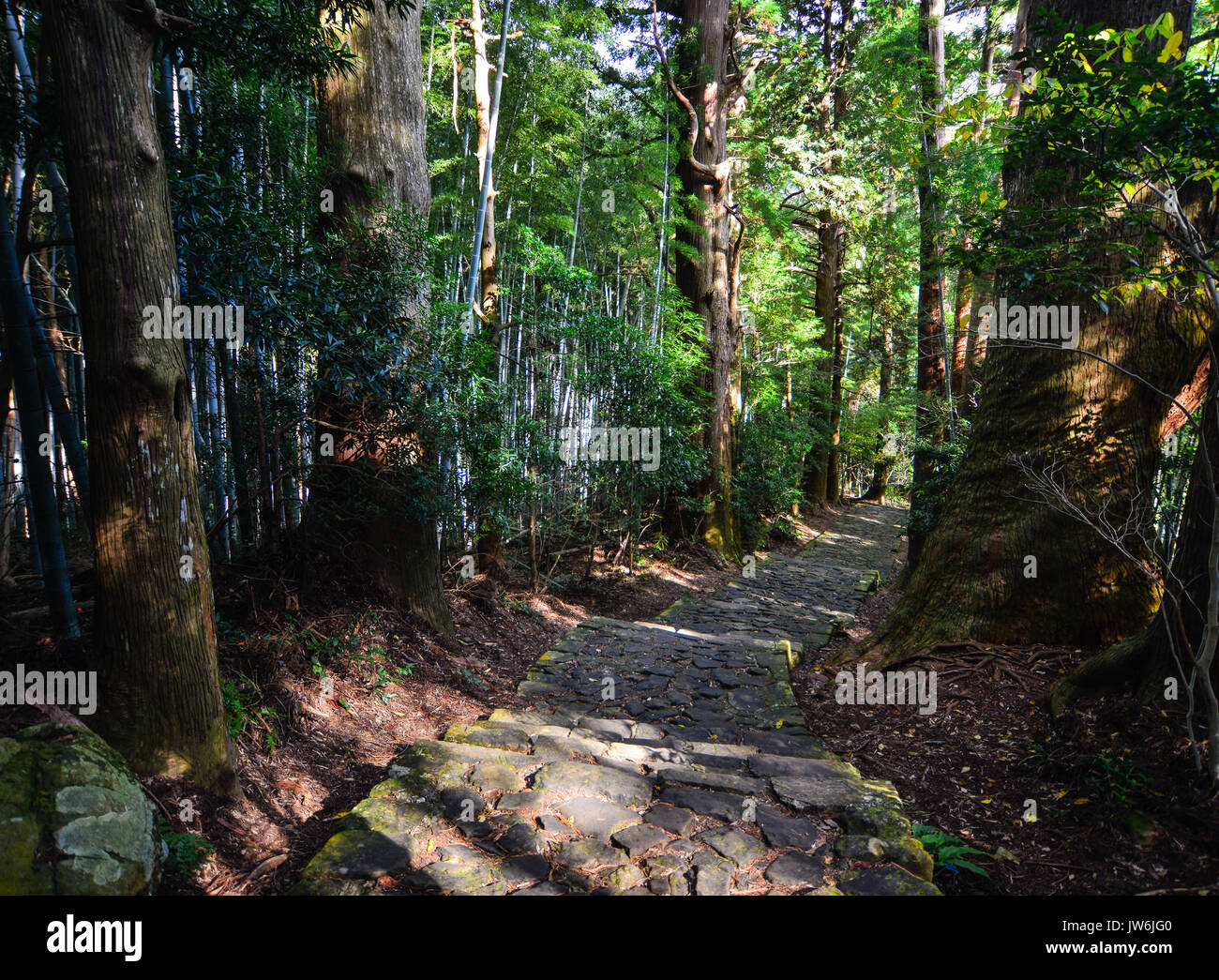 Walking trail of Kumano Kodo in Kansai, Japan. Kumano Kodo refers to a ...