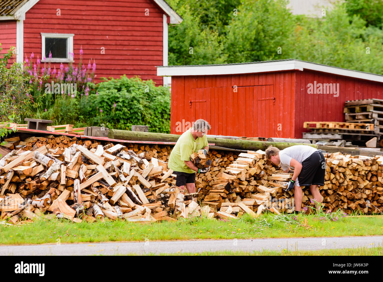 Gather firewood hi-res stock photography and images - Alamy