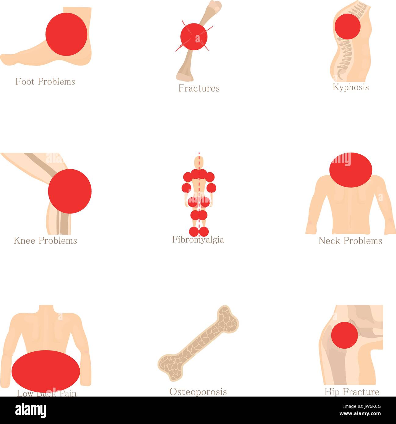 Anatomy icons set, cartoon style Stock Vector Image & Art - Alamy