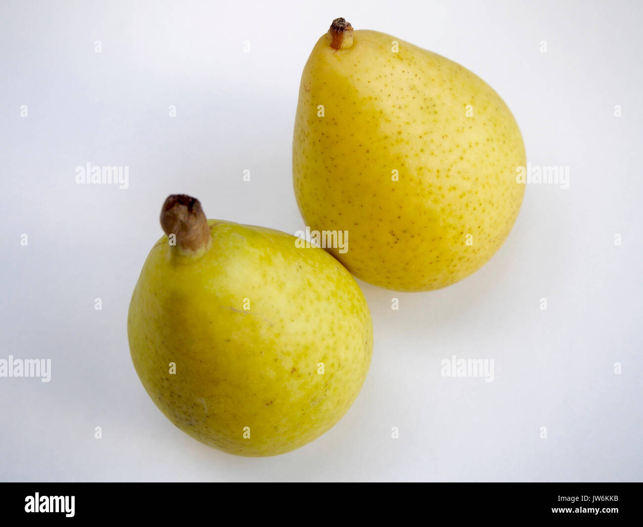 Two pears ercolini on white background Stock Photo - Alamy