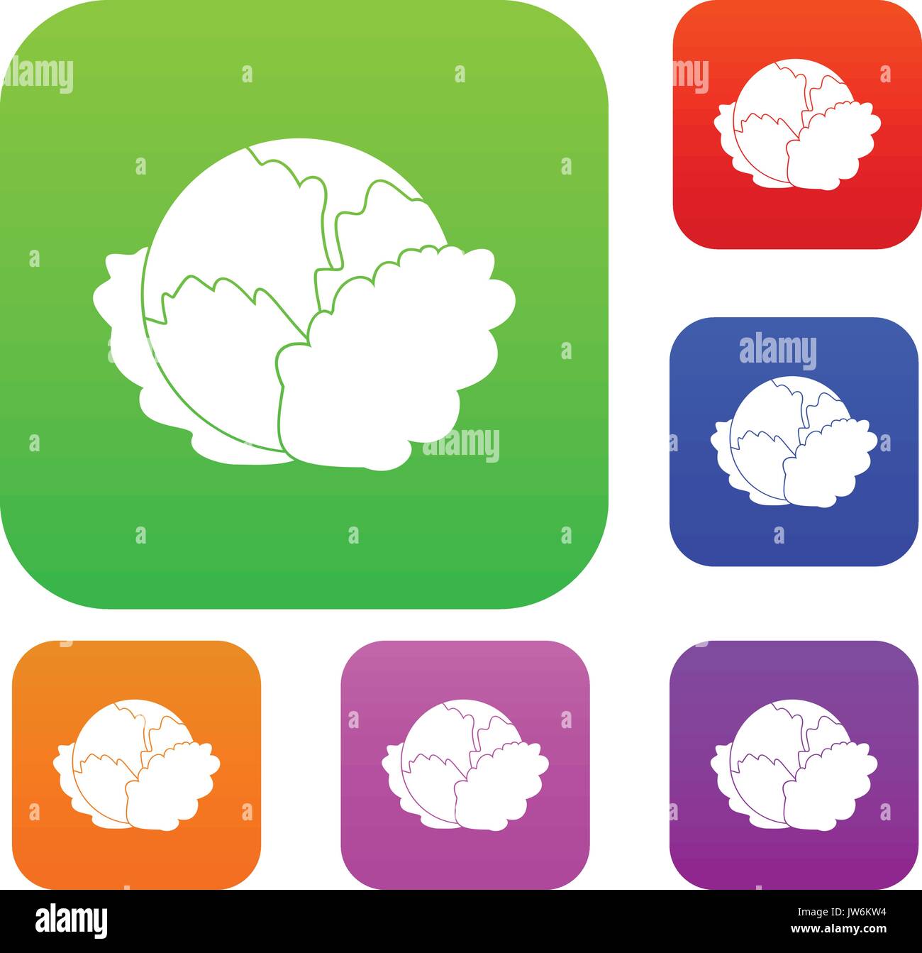 Cabbage set collection Stock Vector Image & Art - Alamy
