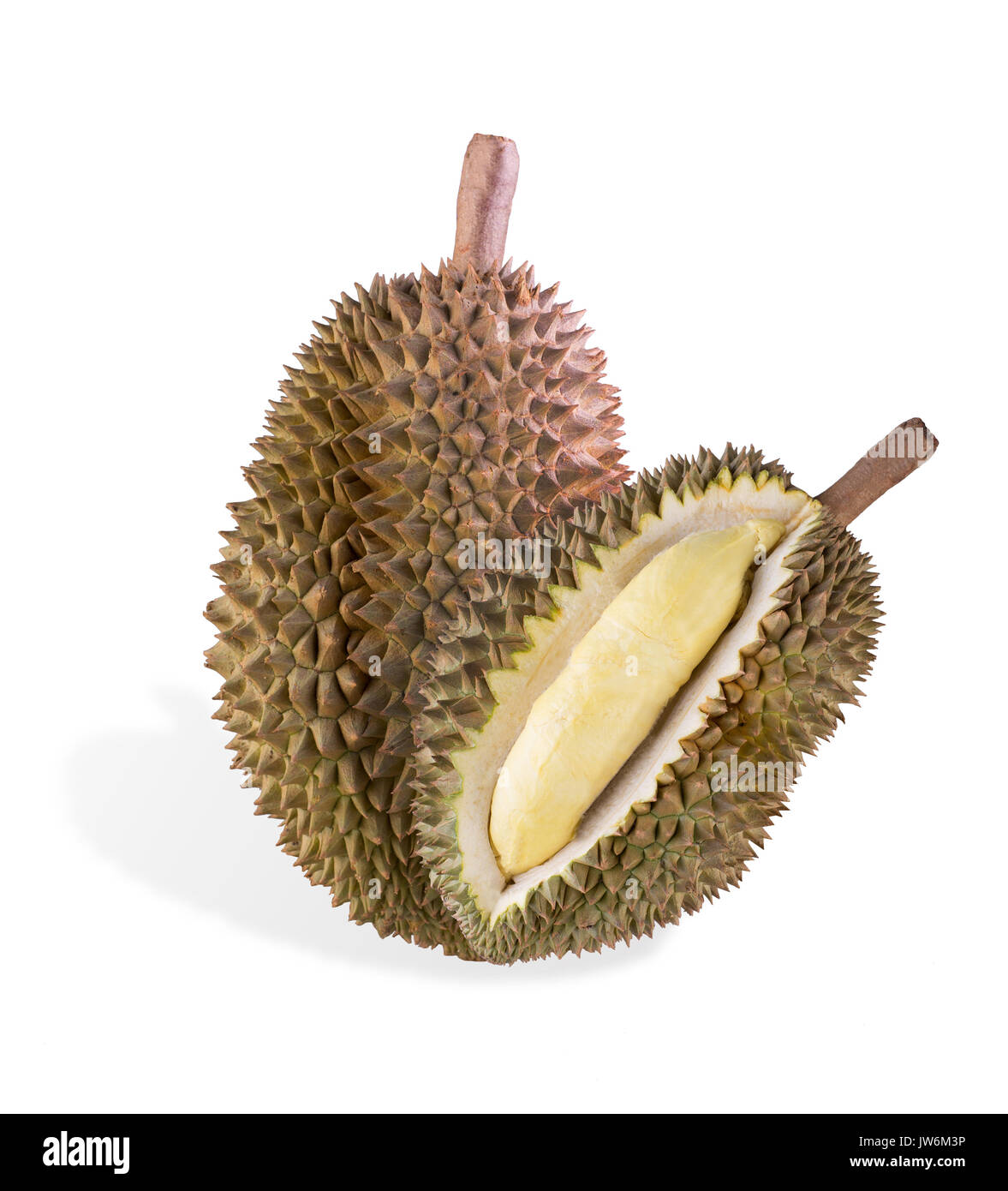 Durian isolated on white background Stock Photo - Alamy