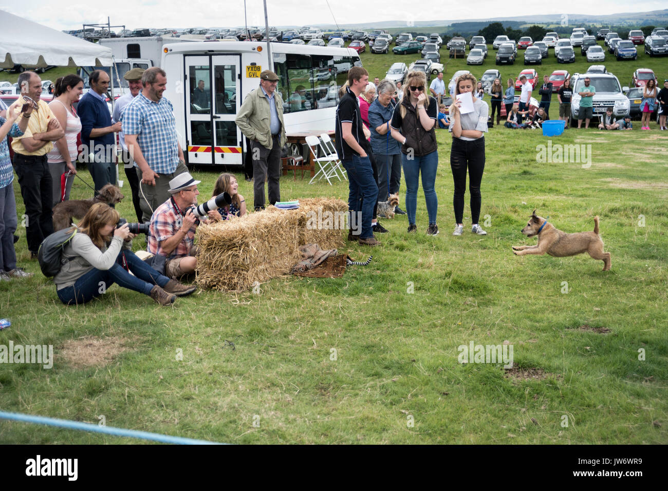 Westmorland county show hi-res stock photography and images - Alamy