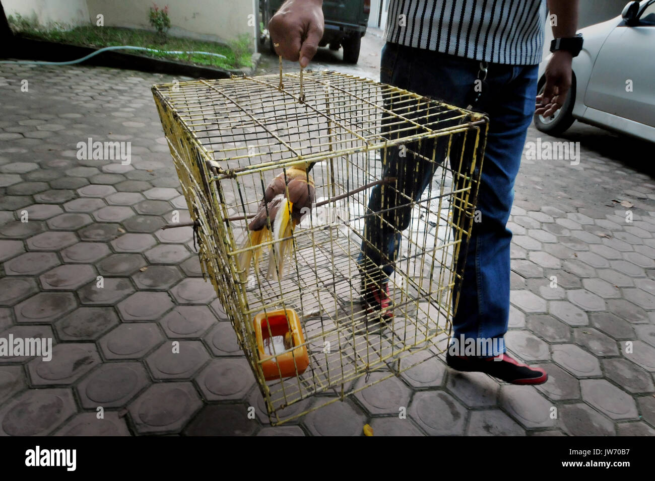 Airport quarantine officers hi-res stock photography and images - Alamy