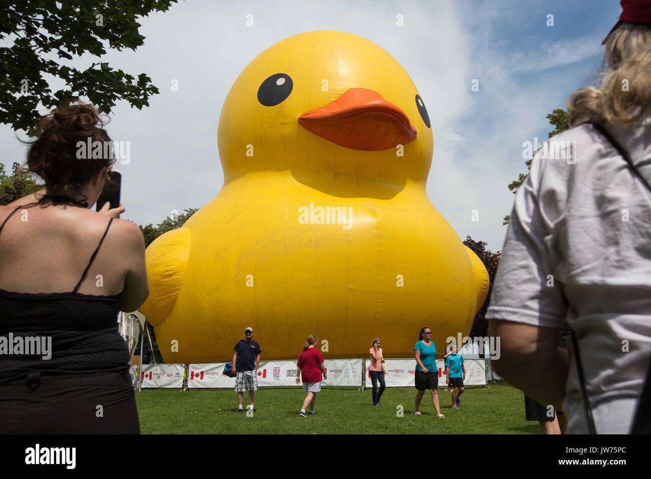 Biggest rubber ducky hi-res stock photography and images - Alamy
