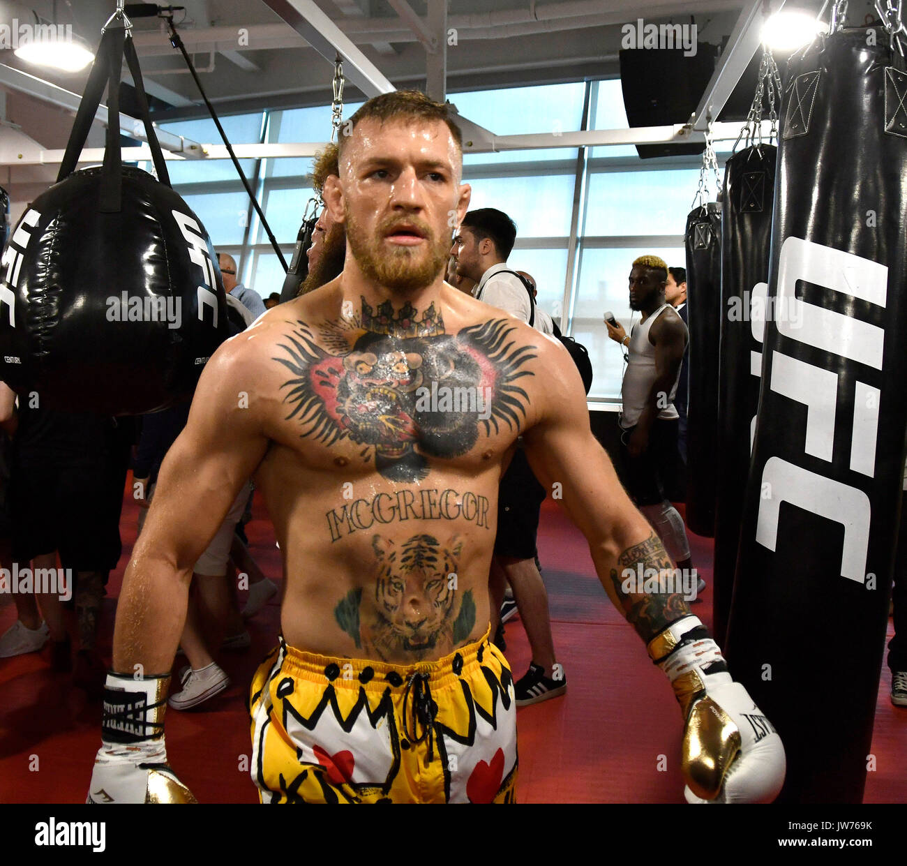 Will mcgregor hi-res stock photography and images - Alamy