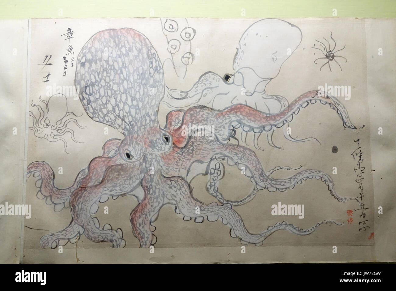 Sea creatures map hi-res stock photography and images - Alamy