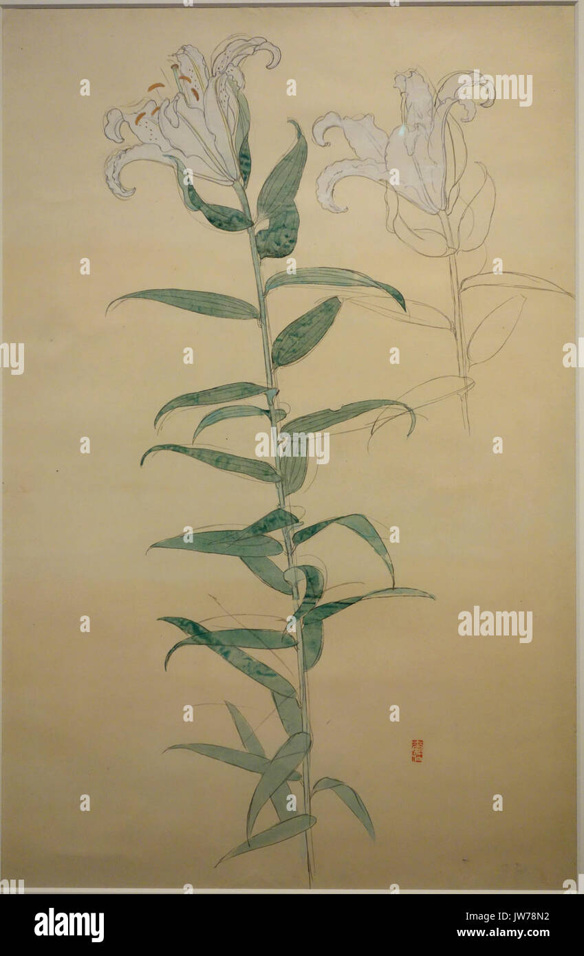 Sketch of White Lilies by Bakusen Tsuchida, 1935, sumi and color on ...