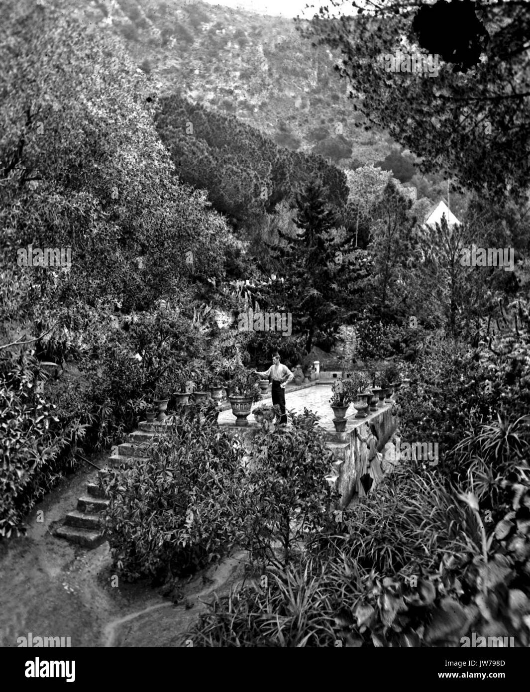 Alameda botanical gardens hi-res stock photography and images - Alamy