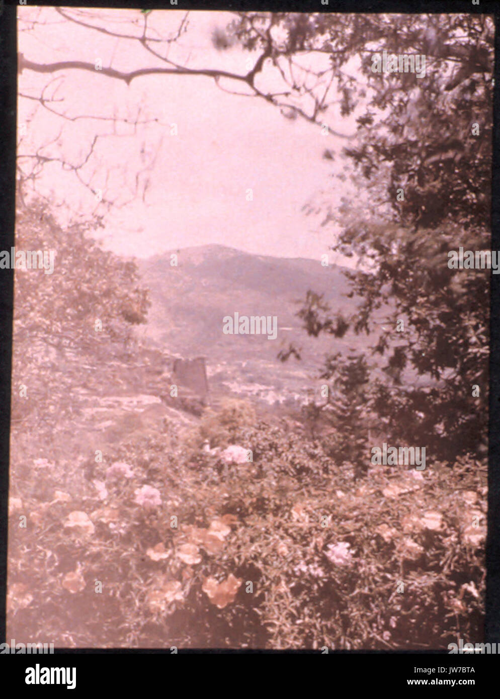 Sarah angelina acland hi-res stock photography and images - Alamy