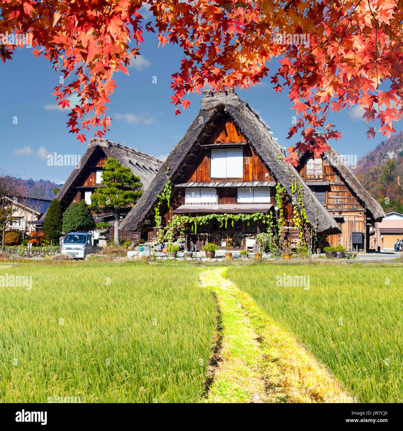 The fall season of Historic Villages of Shirakawa-go and Gokayama ...