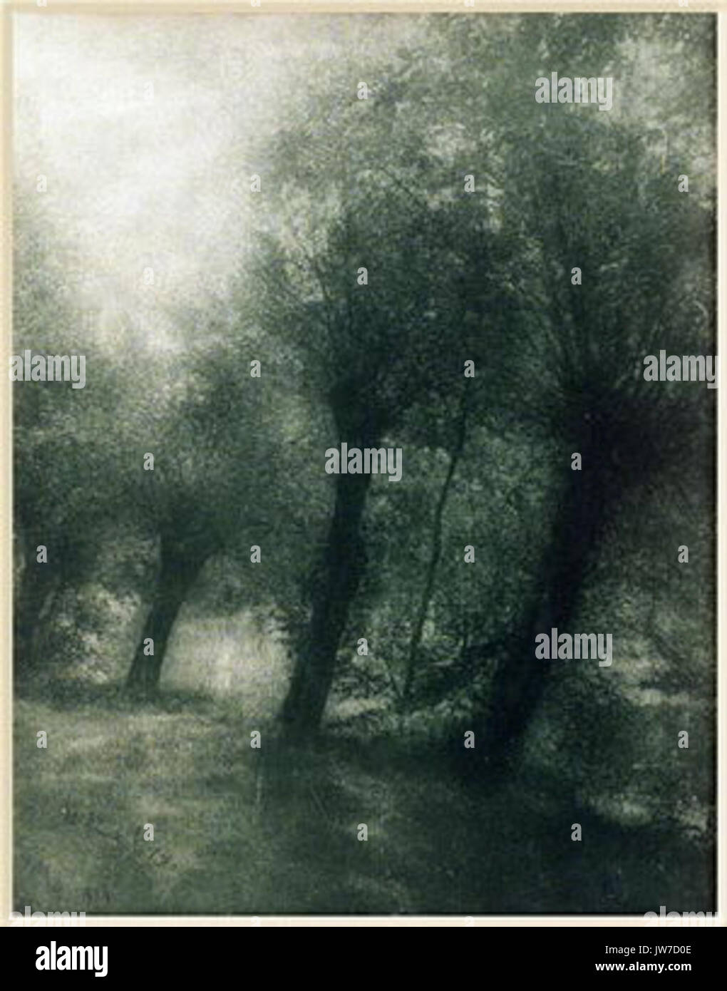 1914 Emile Joachim Constant Puyo Tree Study Stock Photo - Alamy