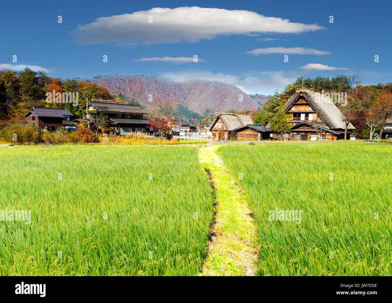 The fall season of Historic Villages of Shirakawa-go and Gokayama ...