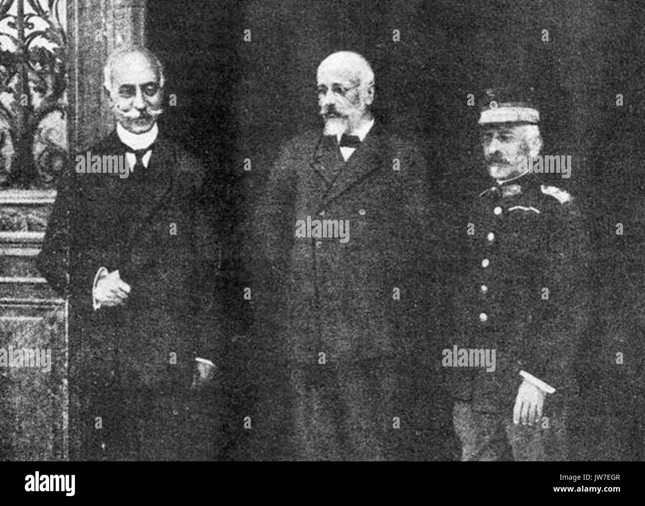 Triandria hi-res stock photography and images - Alamy