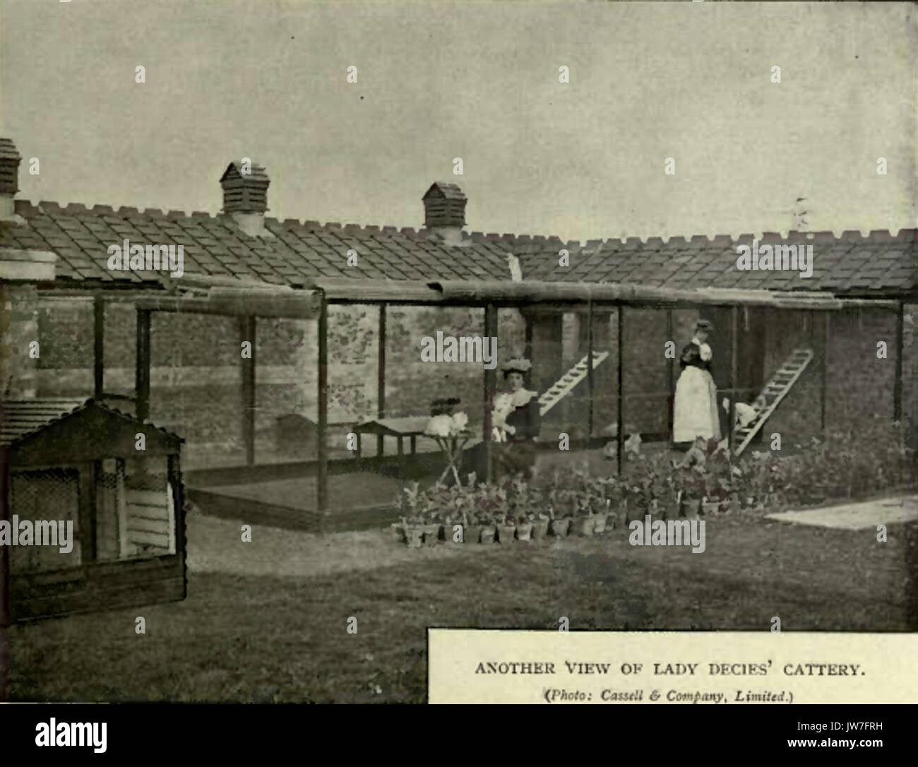 Lady decies hi-res stock photography and images - Alamy