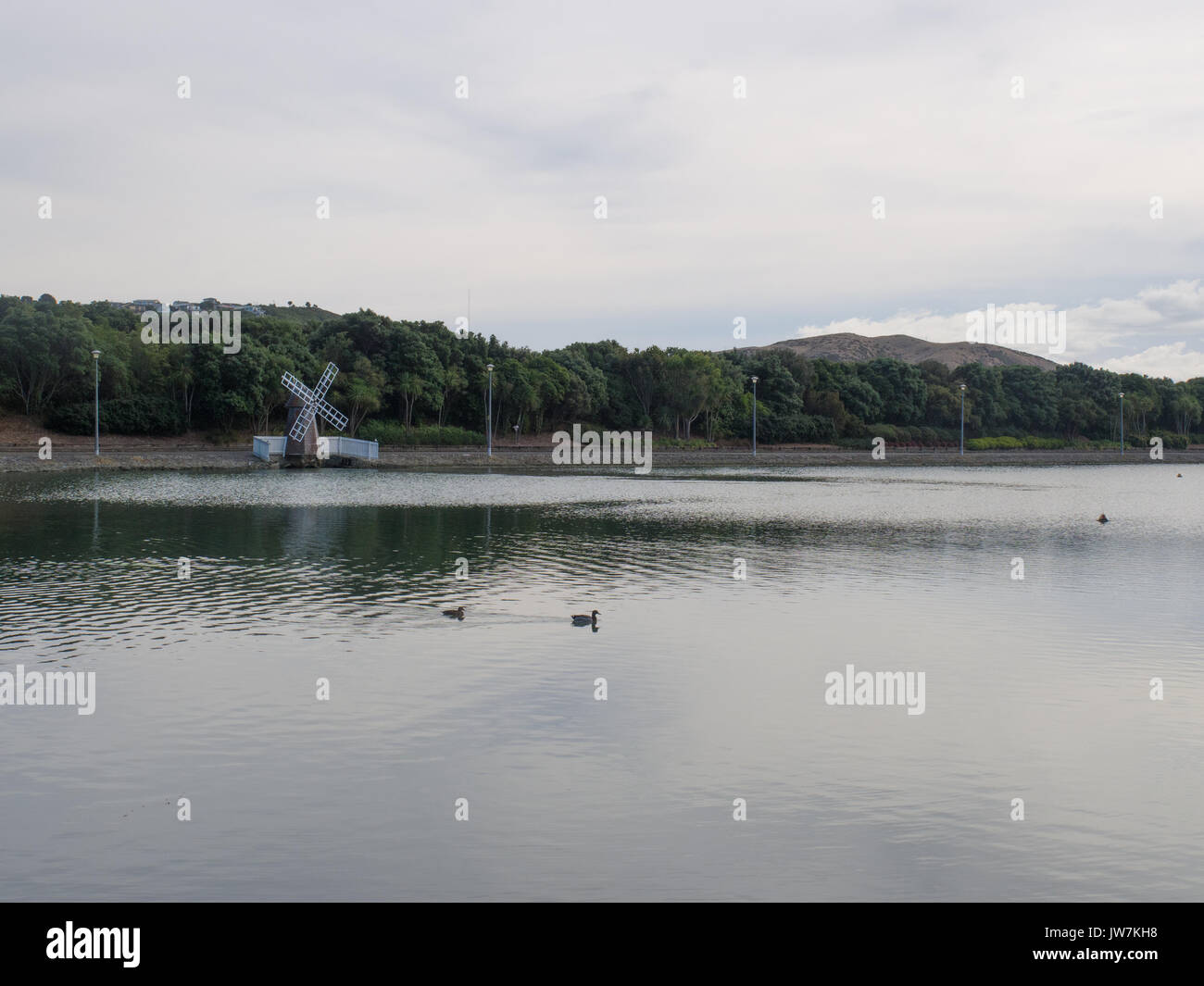 Aotea hi-res stock photography and images - Alamy