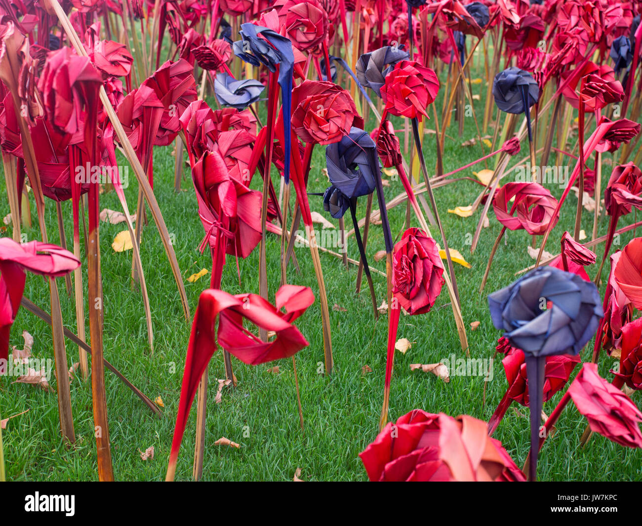 Garden Of Homemade Poppies Stock Photo - Alamy
