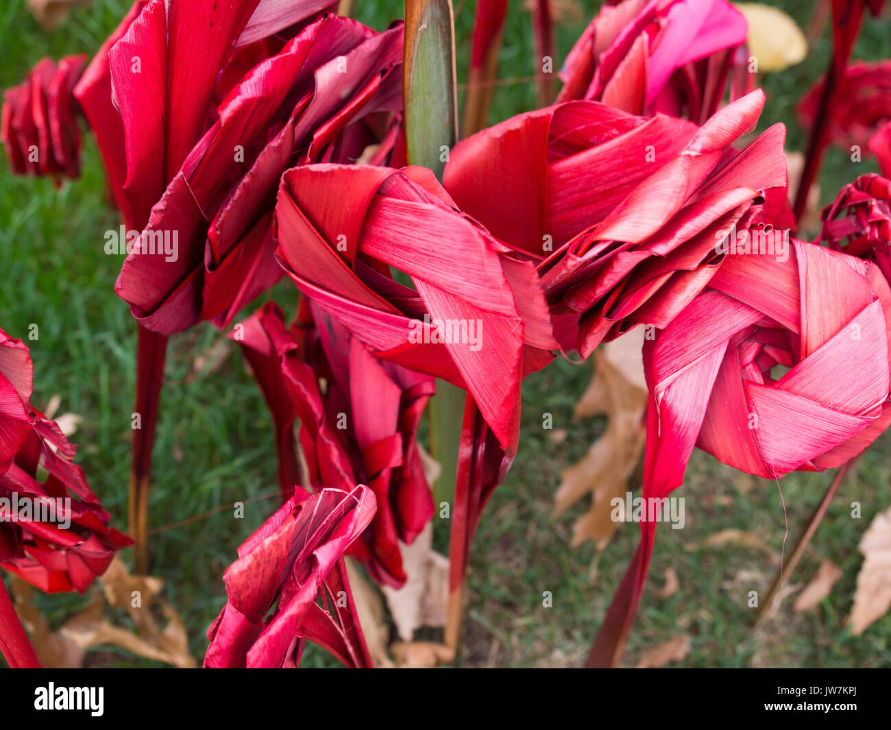 Garden Of Homemade Poppies Stock Photo - Alamy