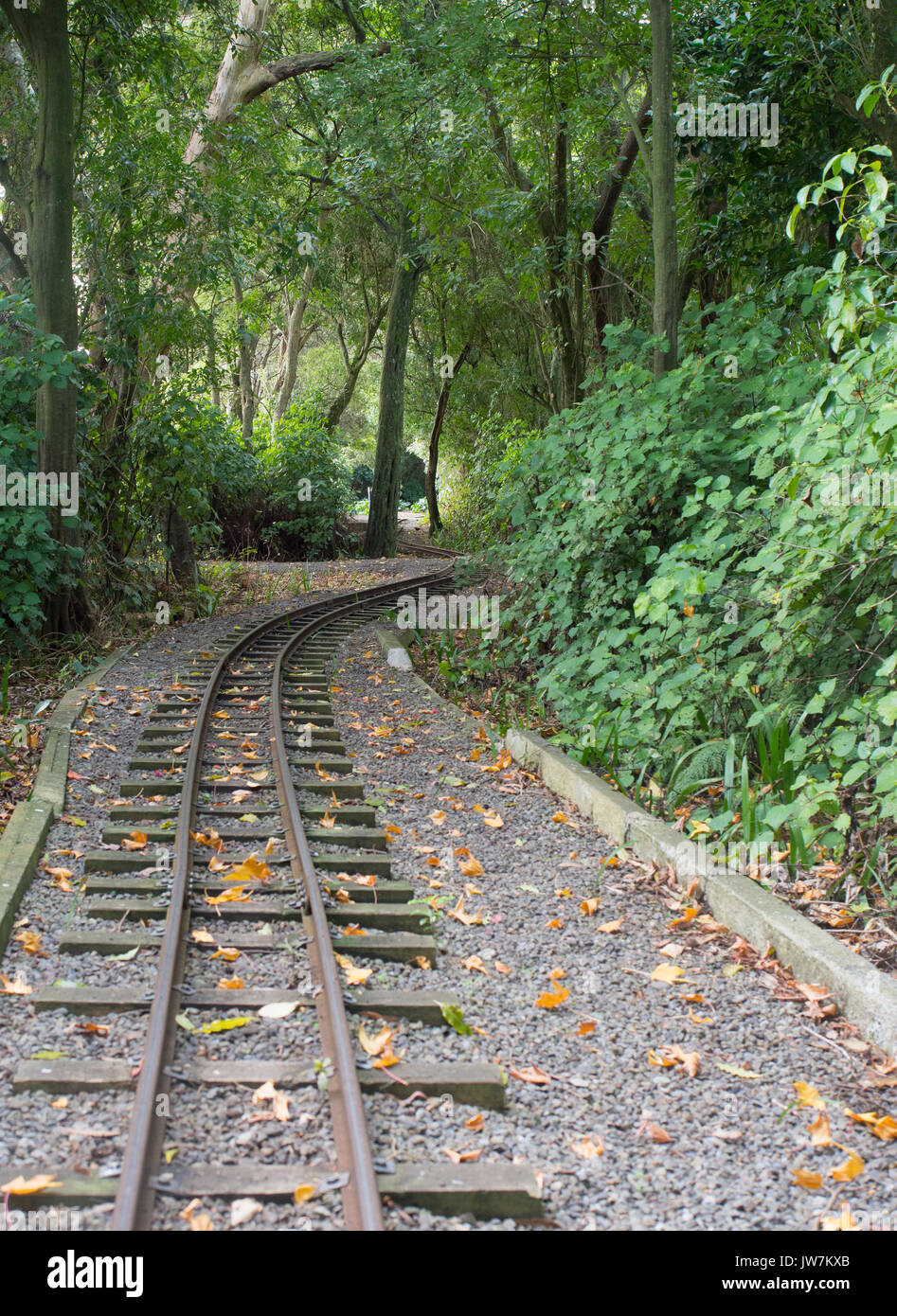 Rail lines and trees hi-res stock photography and images - Alamy