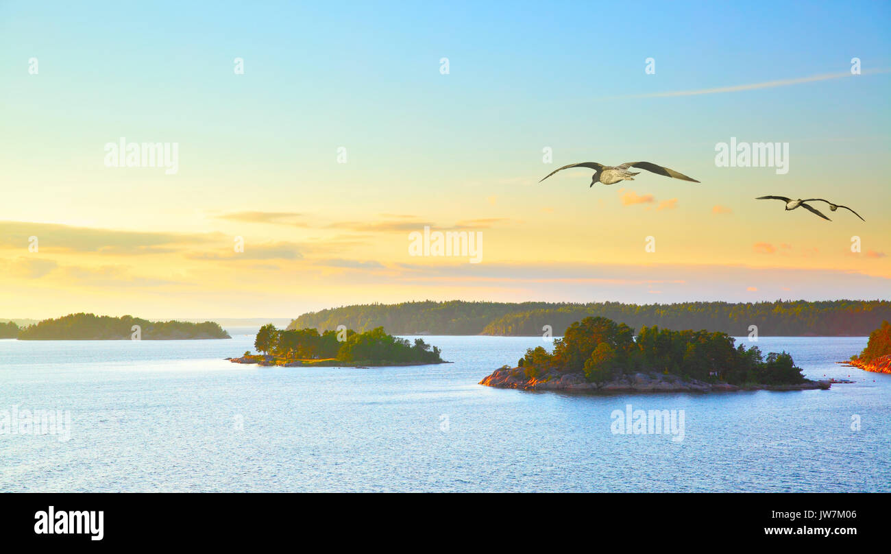 Scandinavian landscape with small islands in the archipelago of ...