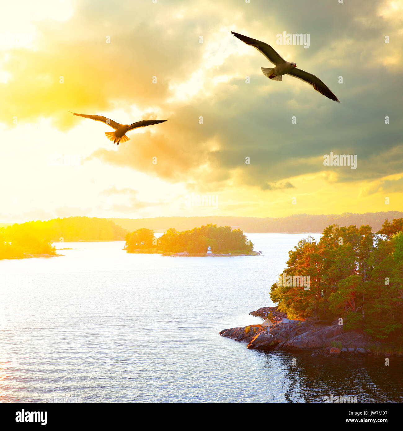 Sunset landscape with small islands in the archipelago of Stockholm and ...