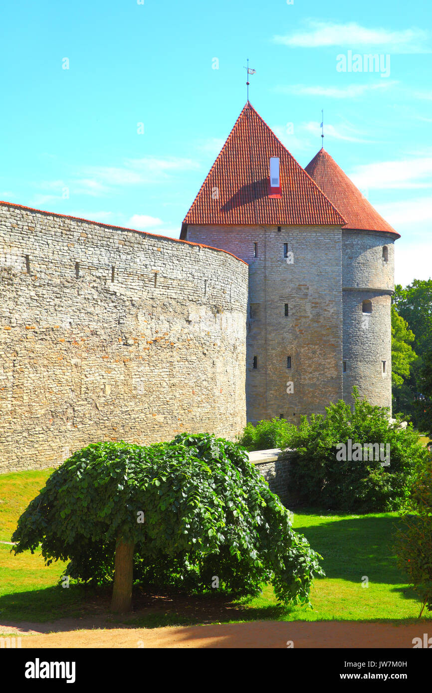Tallin medieval architecture hi-res stock photography and images - Alamy