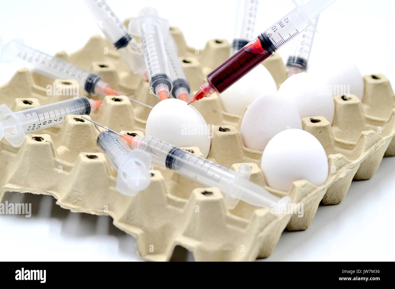 Chicken insemination hi-res stock photography and images - Alamy